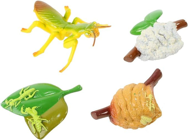 Praying Mantis 4 Piece Life Cycle Figures - 2" Bug Toys - USMANTIS
