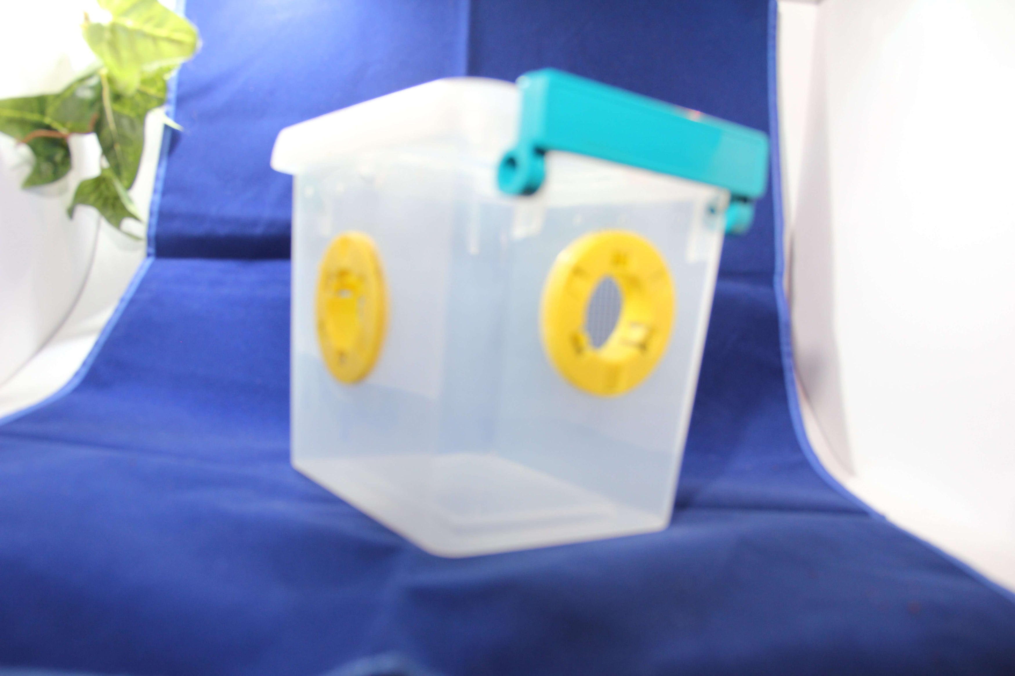 Best insect habitat cage for praying mantis. Bug Box clear locking lid ...