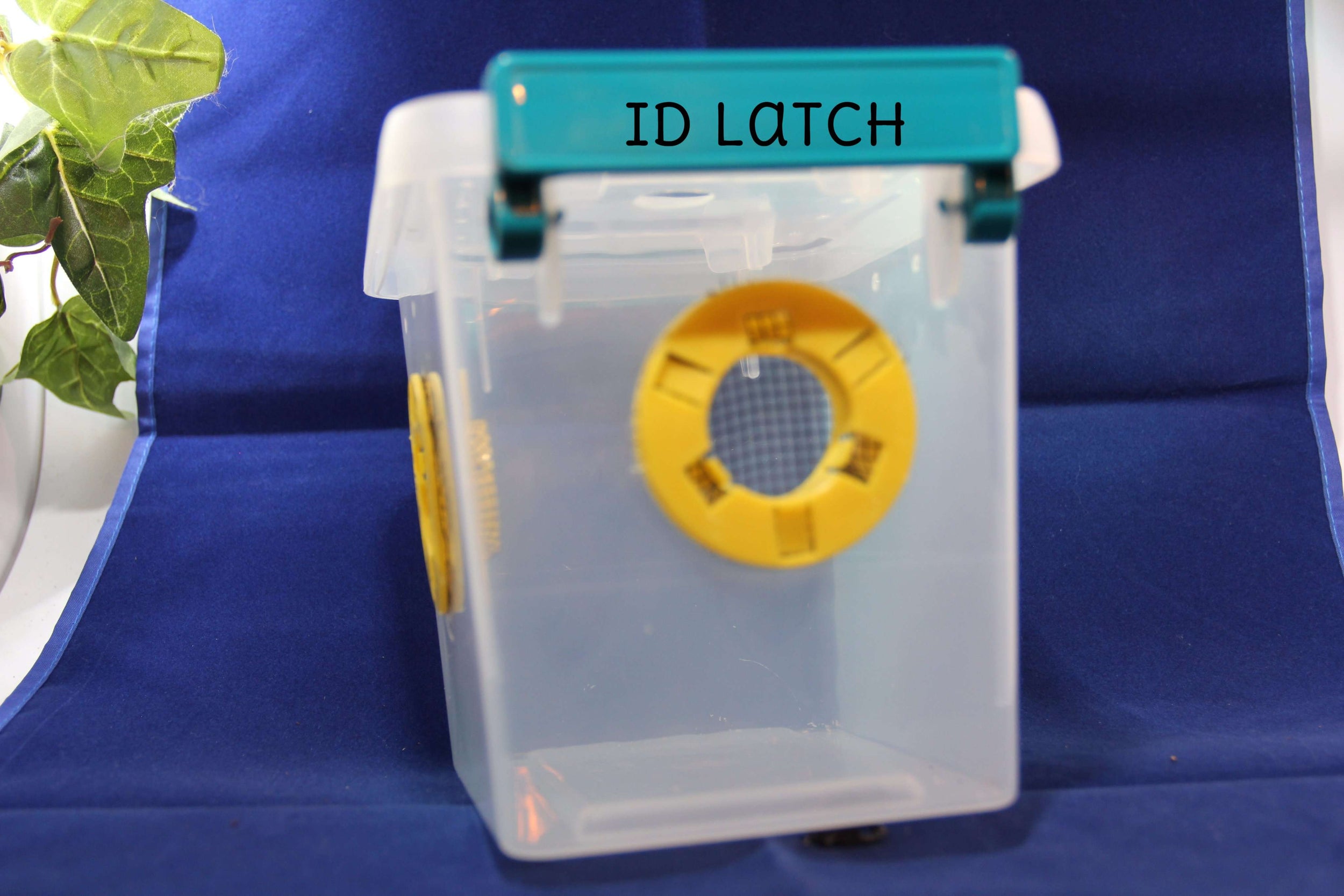 Best insect habitat cage for praying mantis. Bug Box clear locking lid ...