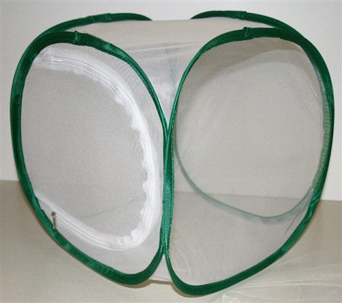 Cages, Habitats, Bug Boxes, Vivariums, Insectariums - USMANTIS